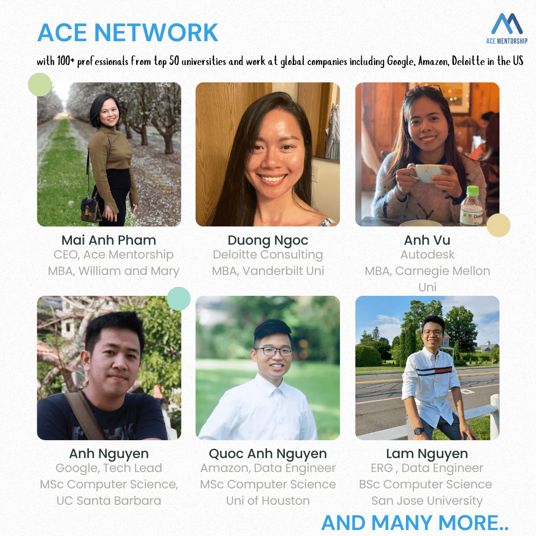 ACE Network - Ace Mentorship